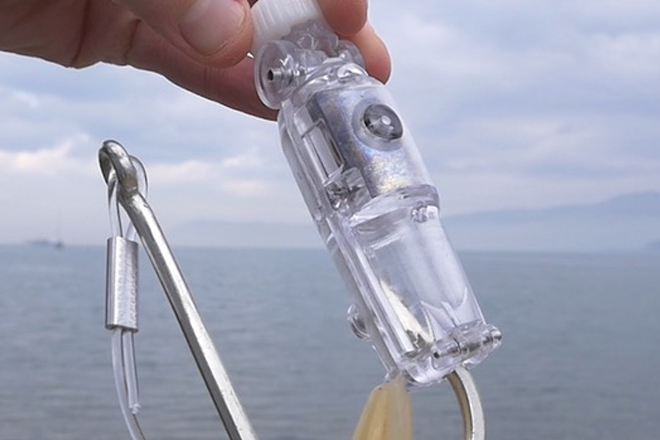 A device to save millions of seabirds - Cool Green Tech