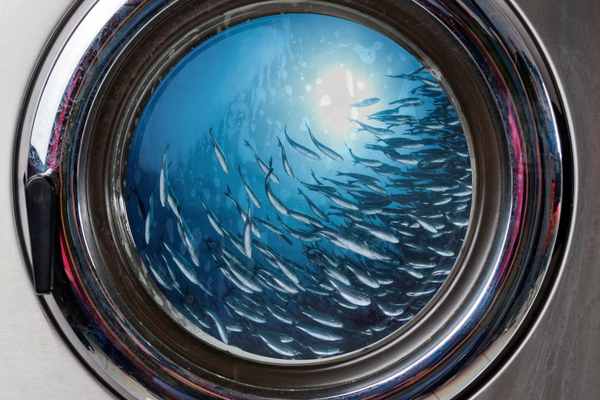 Washing the world of microplastics - Cool Green Tech